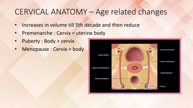 Imaging of female reproductive system RV | PPTX