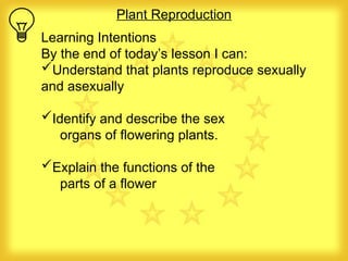 Asexual and sexual reproduction of flowering plants | PPT