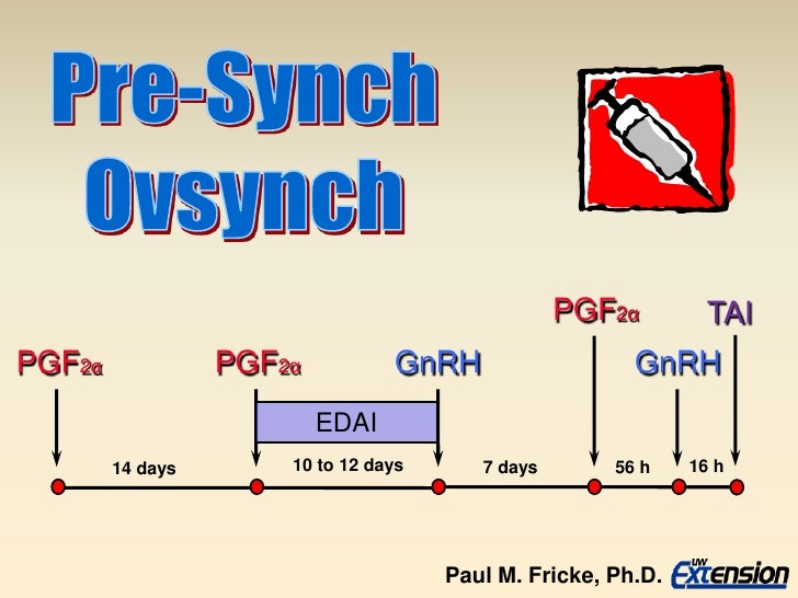 Repro protocology 101