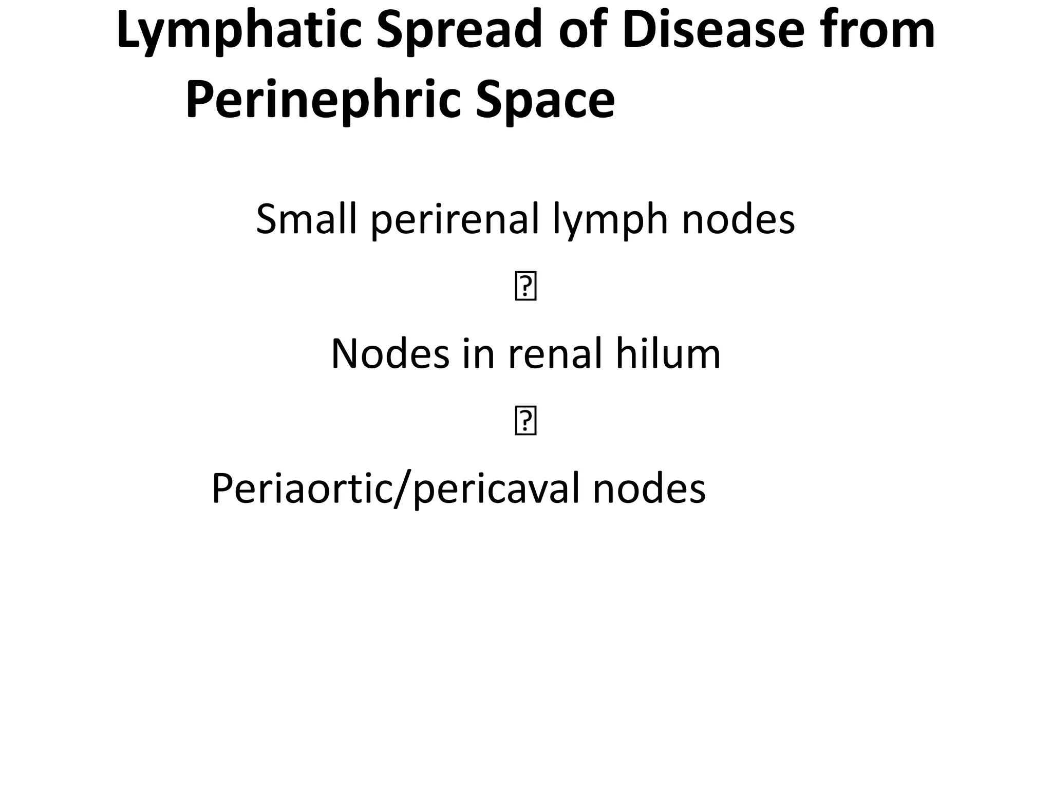 Reproteritoneum Anatomy and Pathology | PPTX