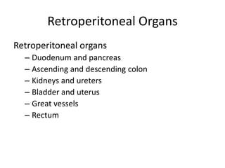 Reproteritoneum Anatomy and Pathology | PPTX