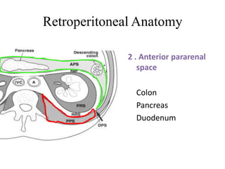 Retroperitoneum Diagram