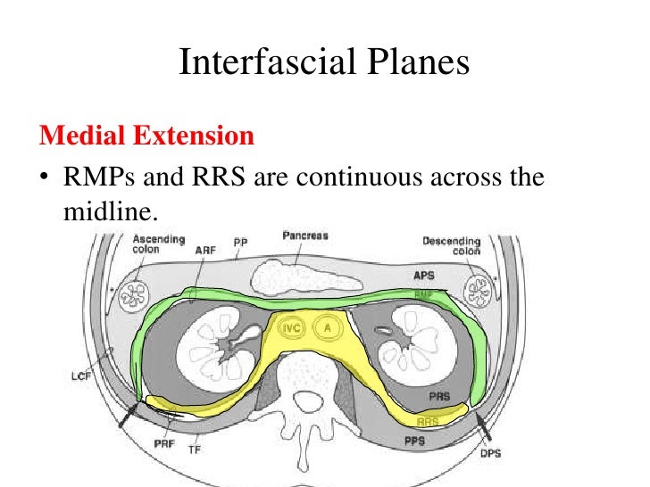 Reproteritoneum Anatomy and Pathology