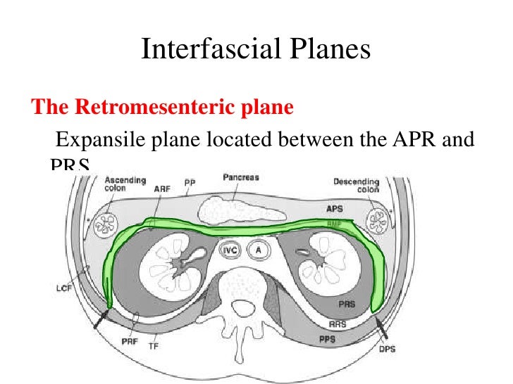 Reproteritoneum Anatomy and Pathology