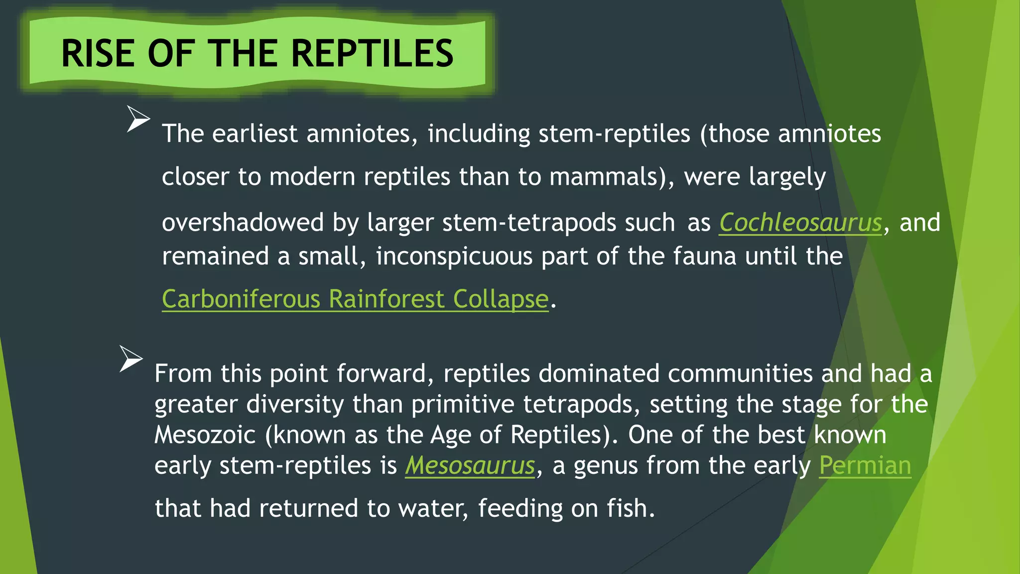 Kingdom Animalia Phylum Chordata Class Reptalia | PPTX