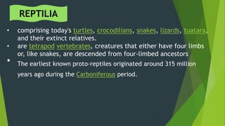 Kingdom Animalia Phylum Chordata Class Reptalia | PPTX