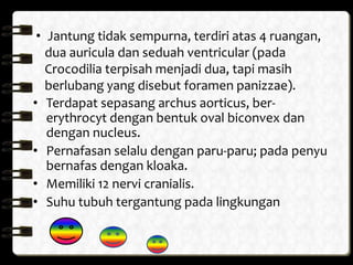 Reptil | PPTX