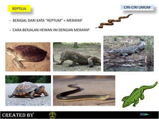 Reptil animated | PPSX