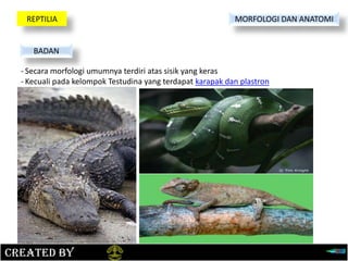 Reptil animated | PPSX
