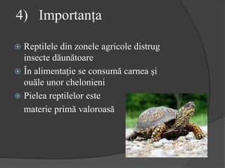 Reptile | PPTX