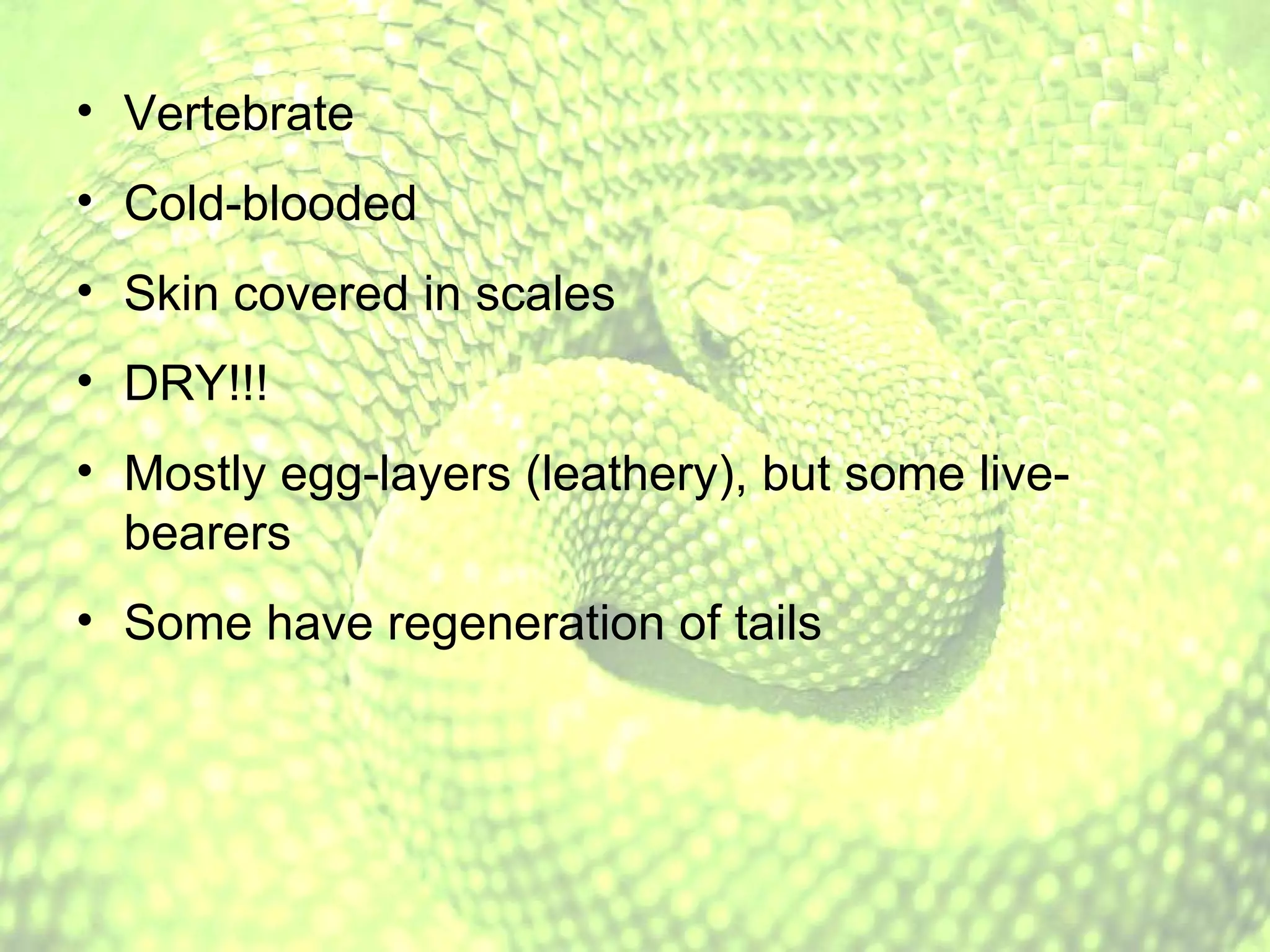 Reptile notes: Notes on Class Reptilia and Orders Crocodilia ...