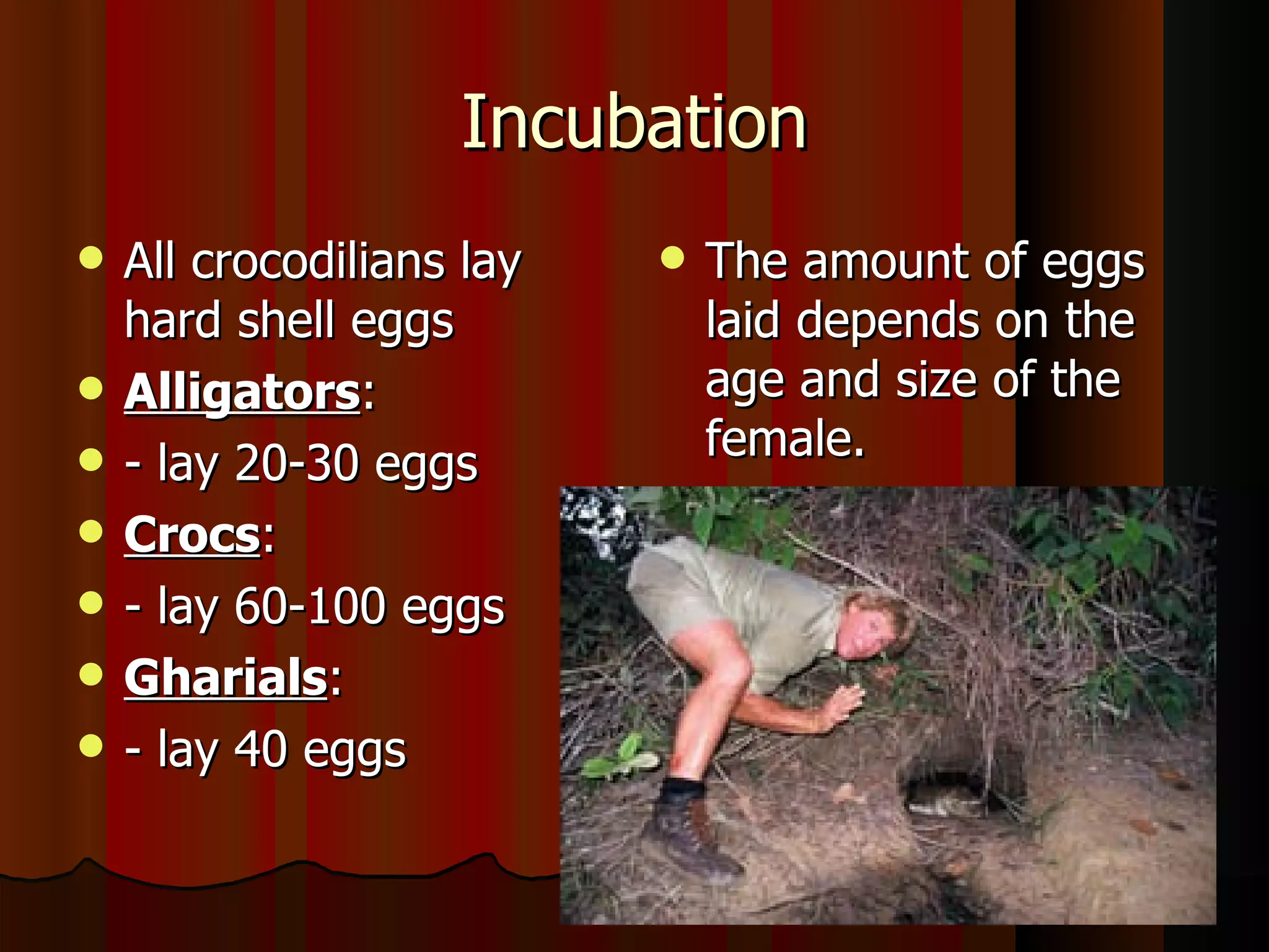 Reptile reproduction and diseases | PPT
