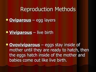 Reptile reproduction and diseases | PPT