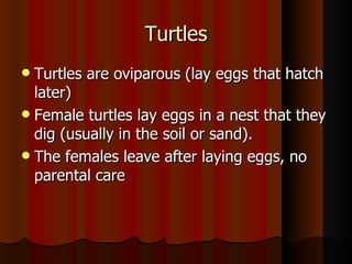 Reptile reproduction and diseases | PPT