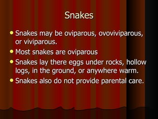 Reptile reproduction and diseases | PPT