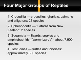 Reptiles | PPT