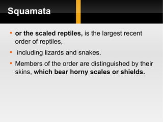 Reptiles | PPT