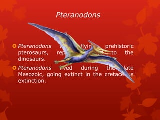 Early Reptiles : Dinosaurs | PPTX | Reptiles | Pets