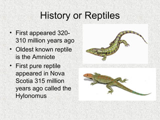 Reptiles | PPT
