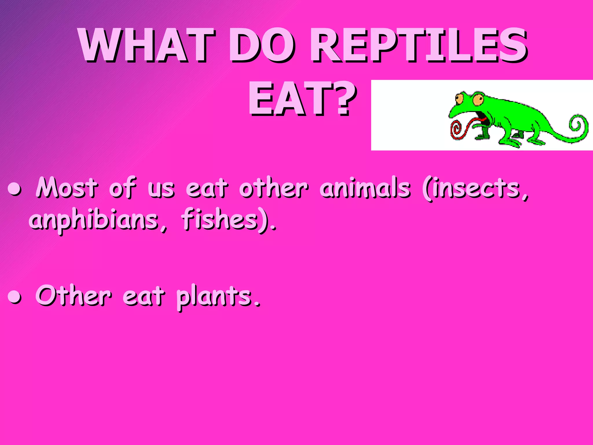 Reptiles | PPT