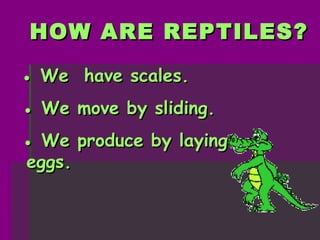 Reptiles | PPT