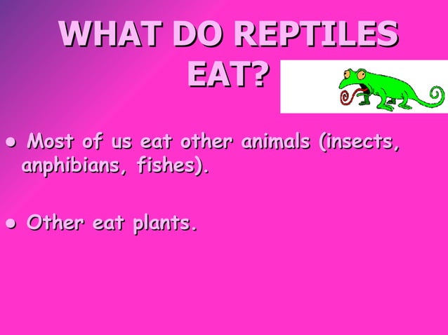 Reptiles | PPT