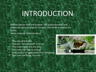 Reptiles | PPT