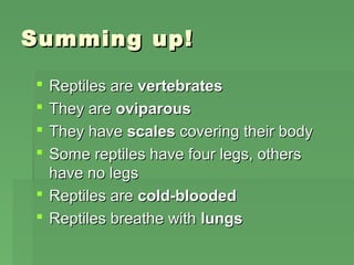 Reptiles | PPT