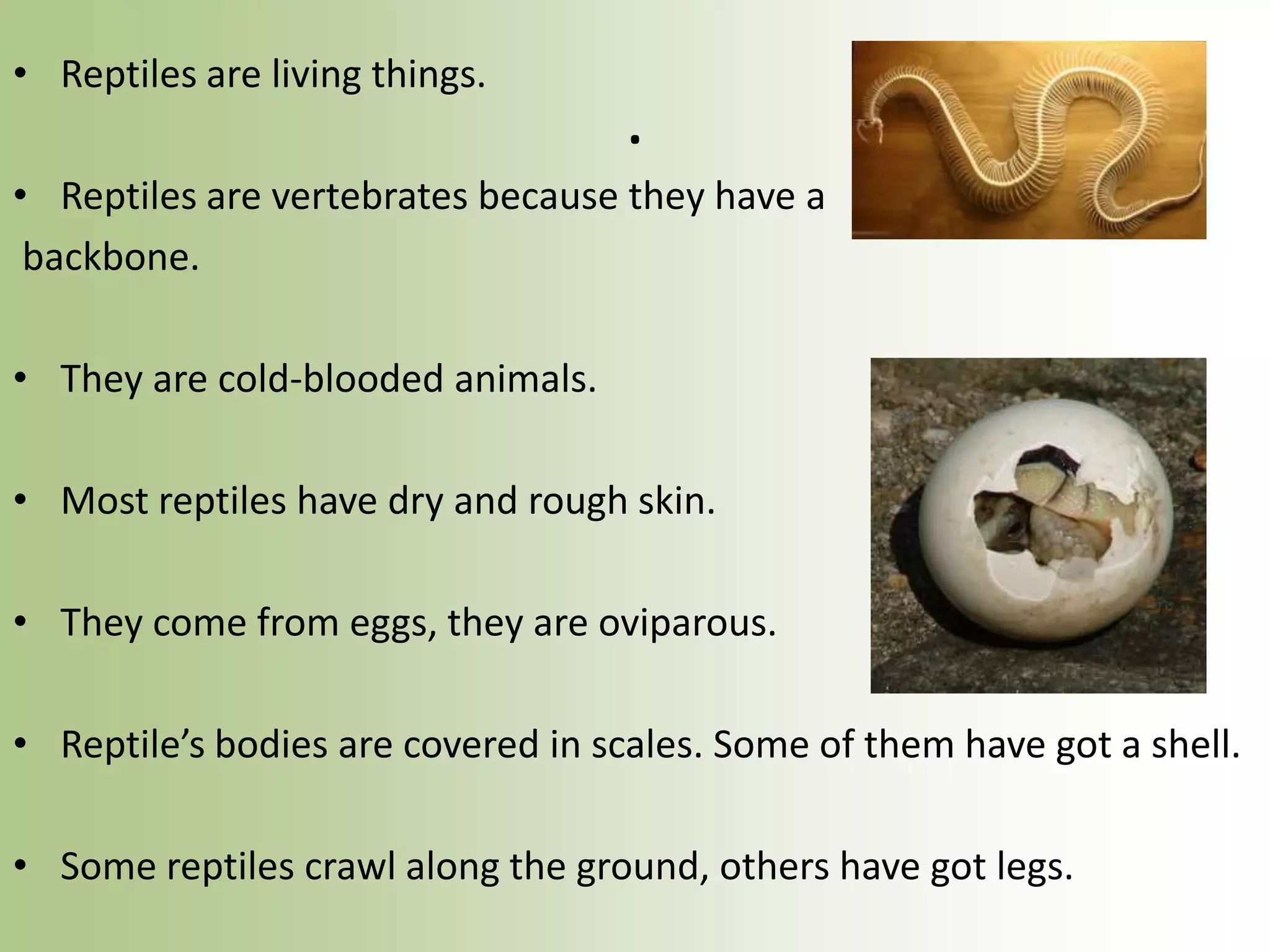 First Steps on Science_ Reptiles | PPTX