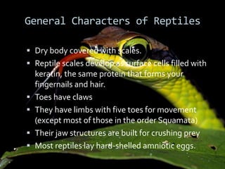 Reptiles | PPT