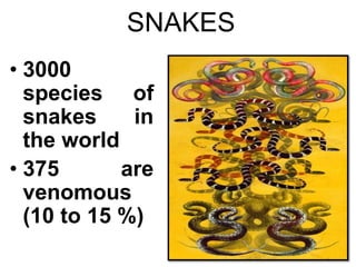 Reptiles of AJK | PPT