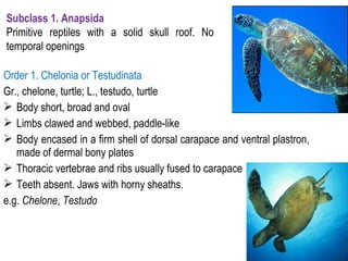 Reptiles class | PPT