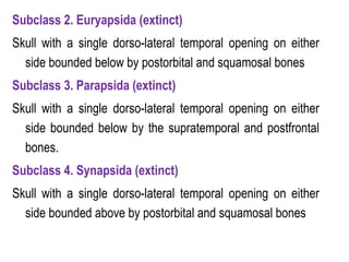 Reptiles class | PPT