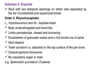 Reptiles class | PPT