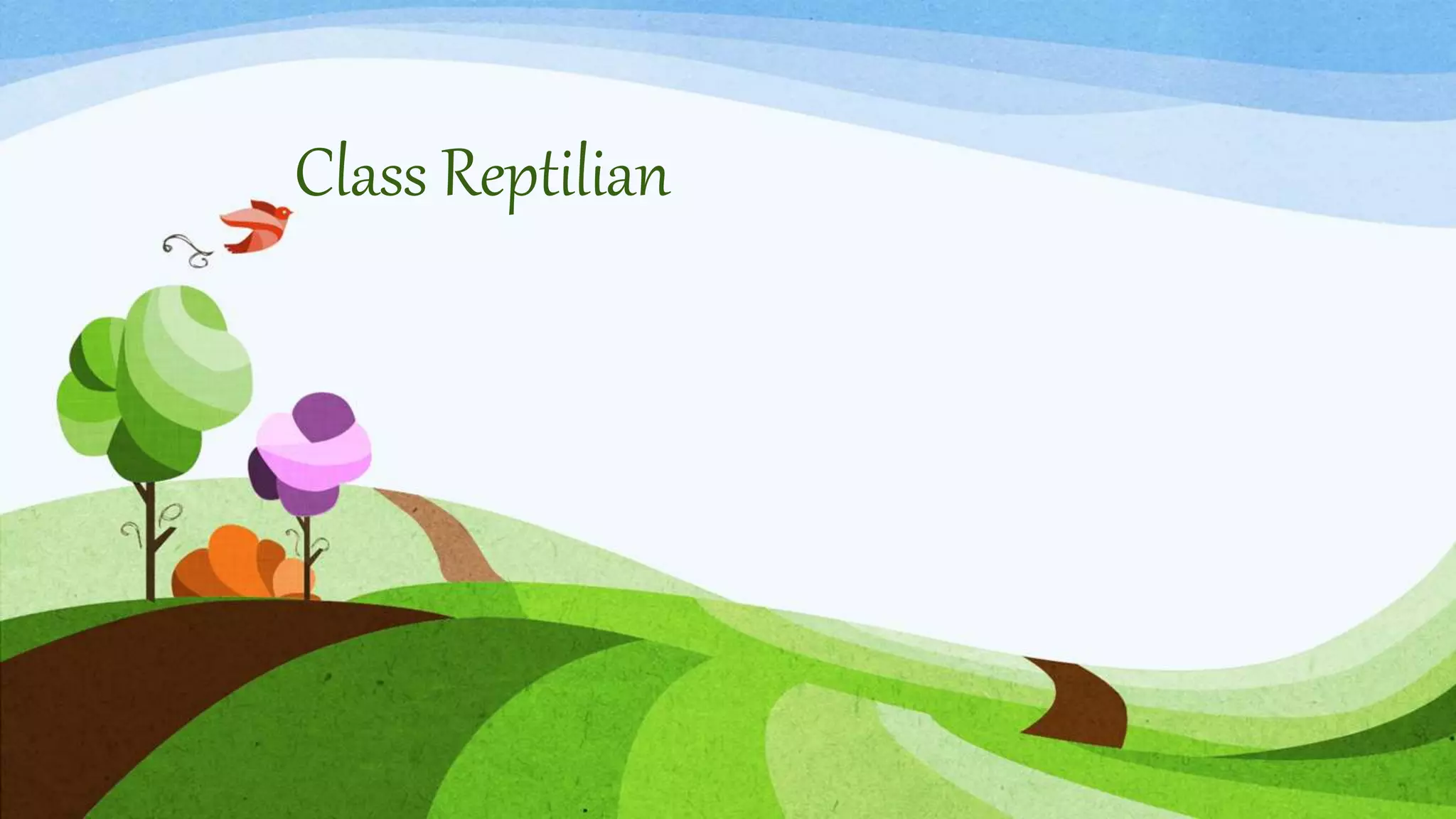 Reptiles | PPT