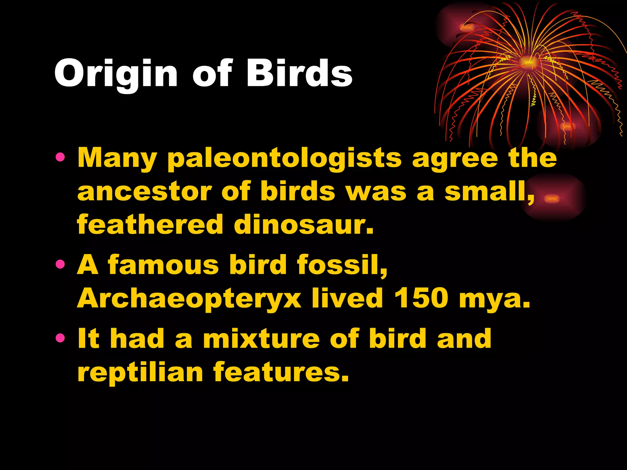 Reptiles, Birds And Mammals | PPT