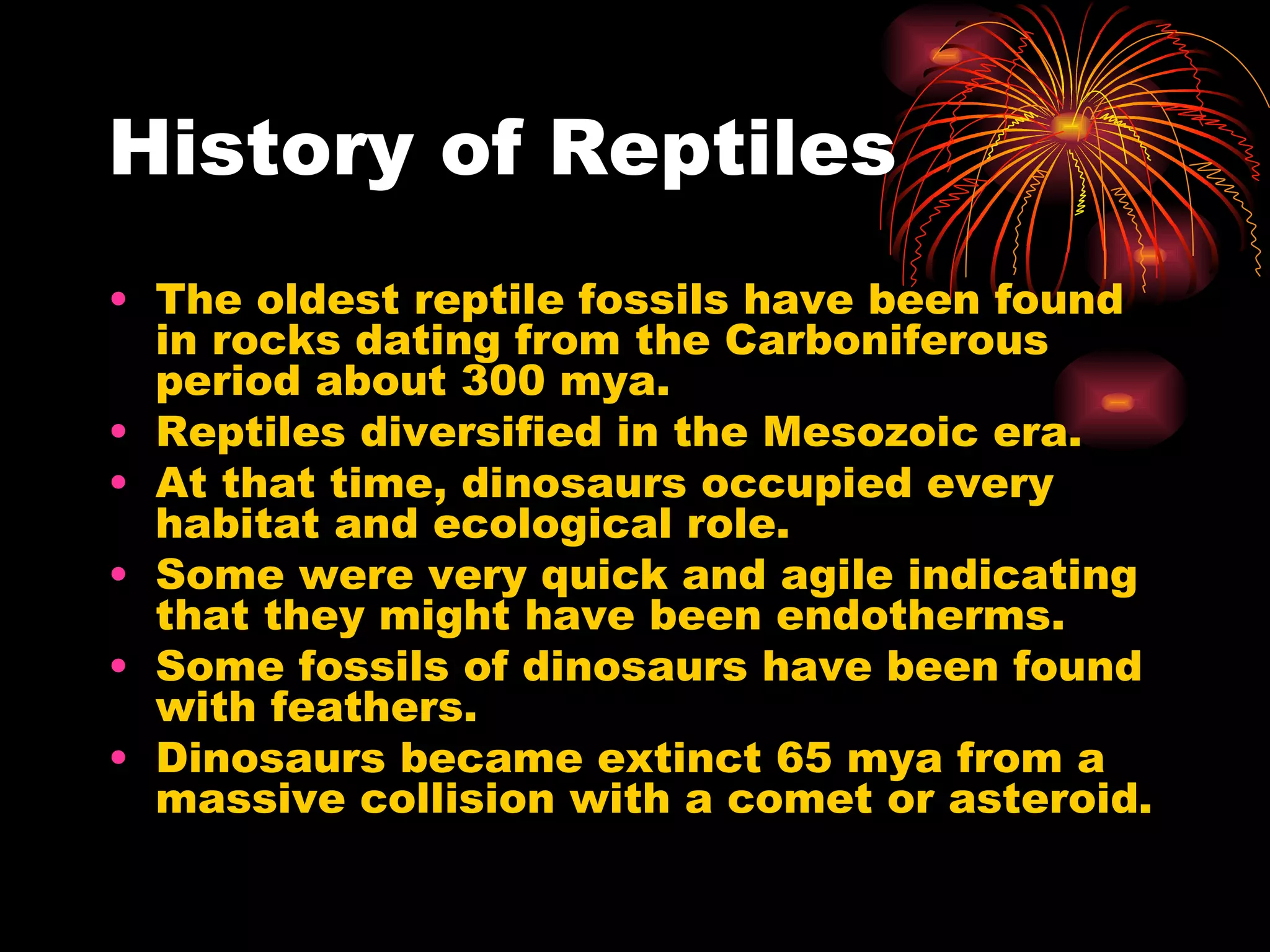 Reptiles, Birds And Mammals | PPT