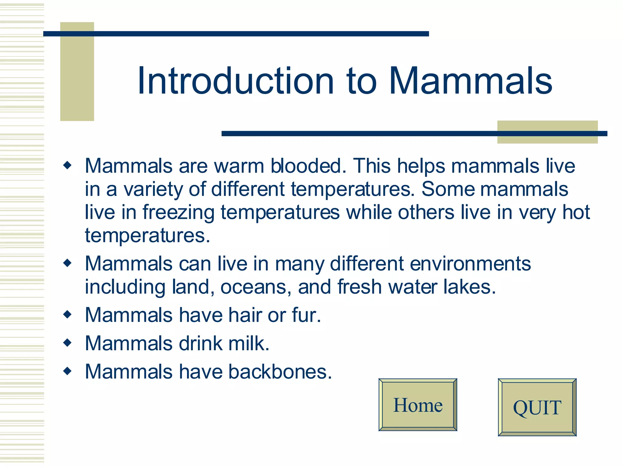Reptiles Vs. Mammals | PPT