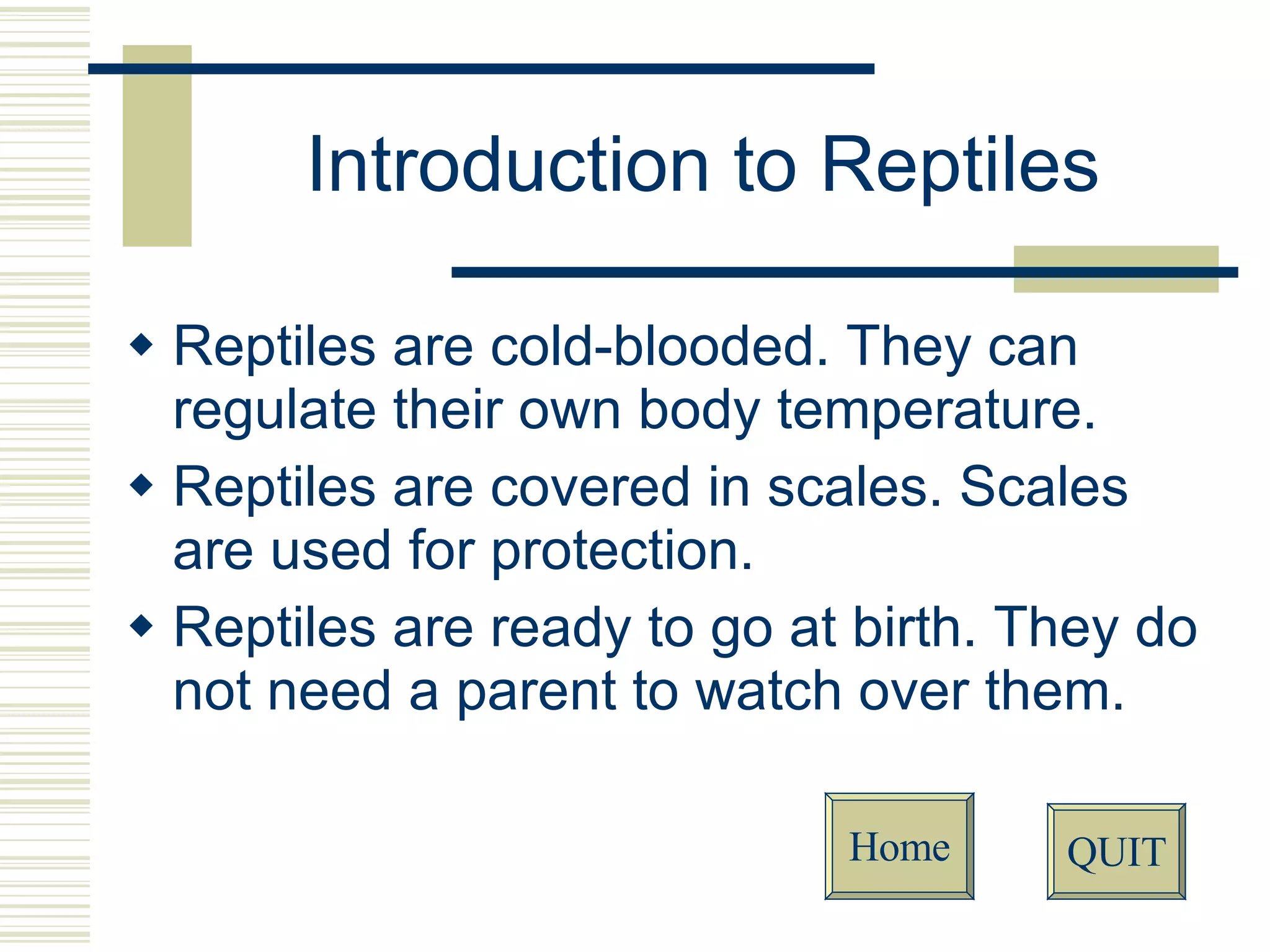 Reptiles Vs. Mammals | PPT
