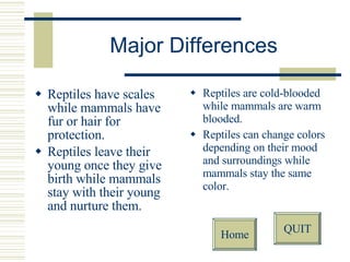 Reptiles Vs. Mammals | PPT
