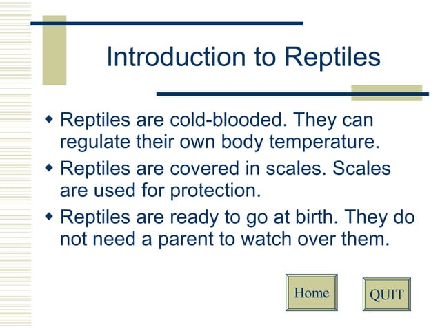 Reptiles Vs. Mammals | PPT | Reptiles | Pets