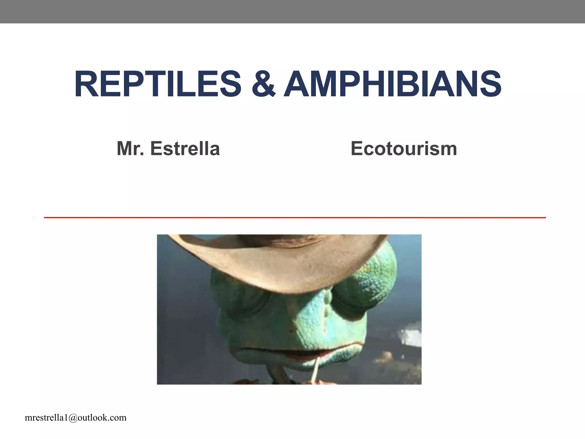 Reptiles & Amphibians So. California | PPTX | Reptiles | Pets