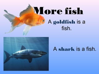 Reptiles, amphibians & fish | PPT