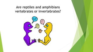 Reptiles and amphibians | PPTX