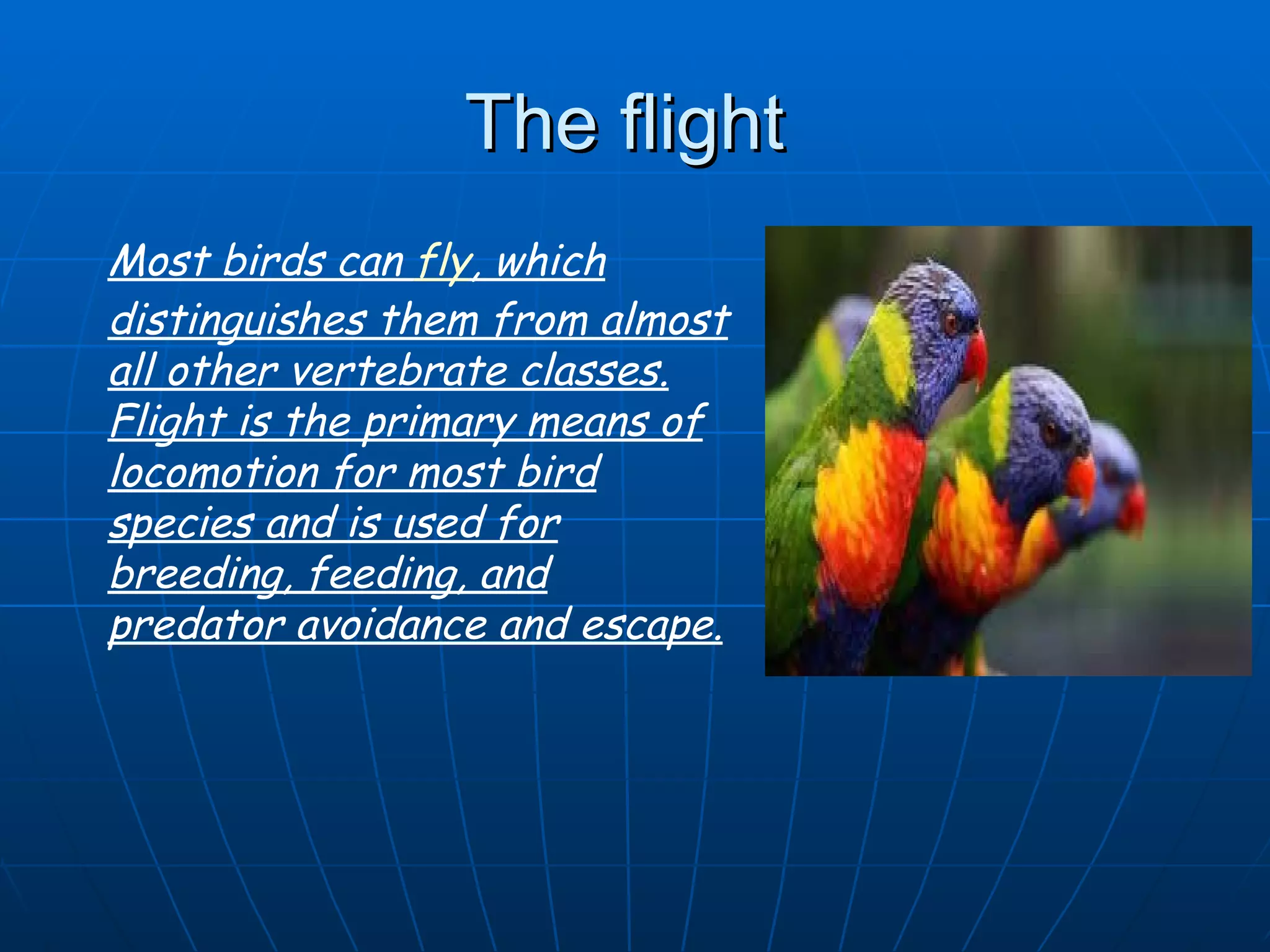 Reptiles and birds | PPT