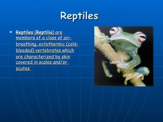 Reptiles and birds | PPT