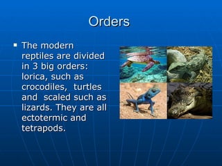 Reptiles and birds | PPT