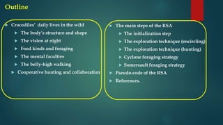 Reptile search algorithm (RSA) (Swarm intelligence) | PPTX