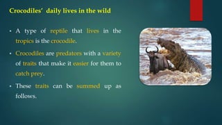 Reptile search algorithm (RSA) (Swarm intelligence) | PPTX