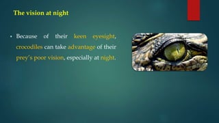 Reptile search algorithm (RSA) (Swarm intelligence) | PPTX
